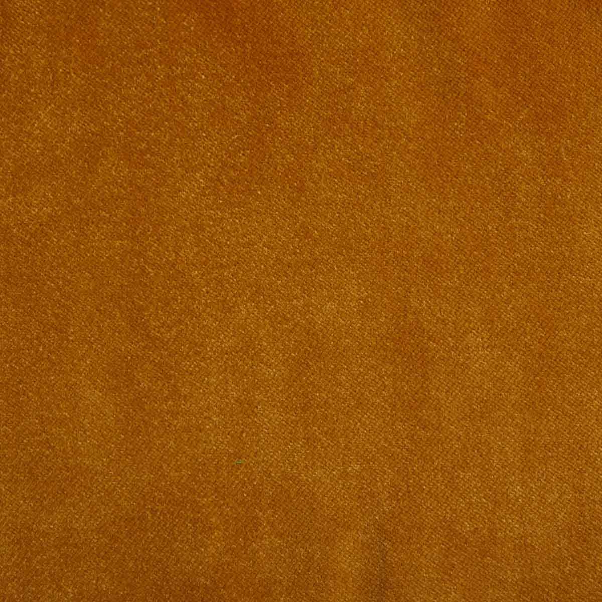 SPITFIRE - Alessandro Bini